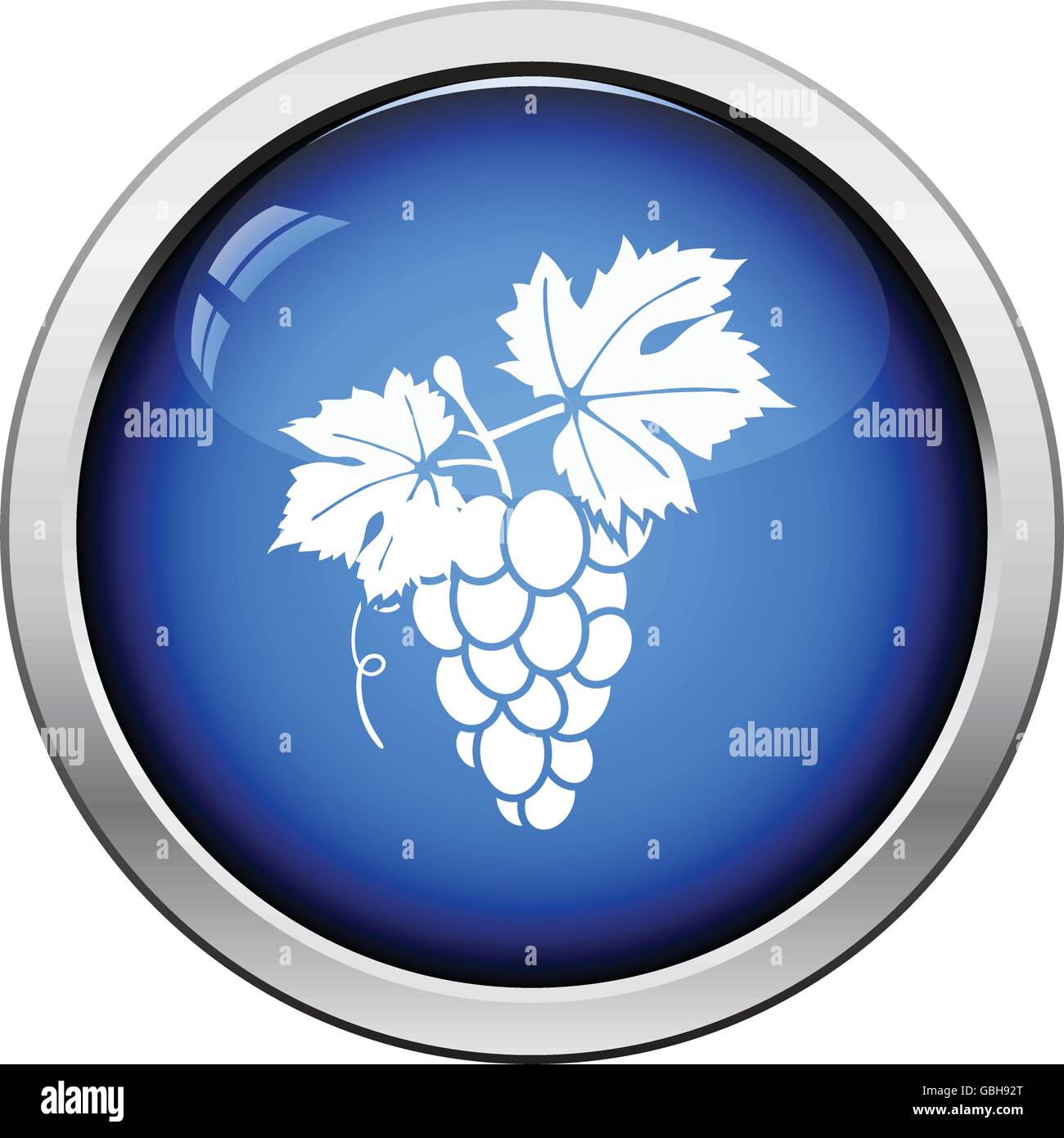Icon of Grape. Glossy button design. Vector illustration Stock Vector ...