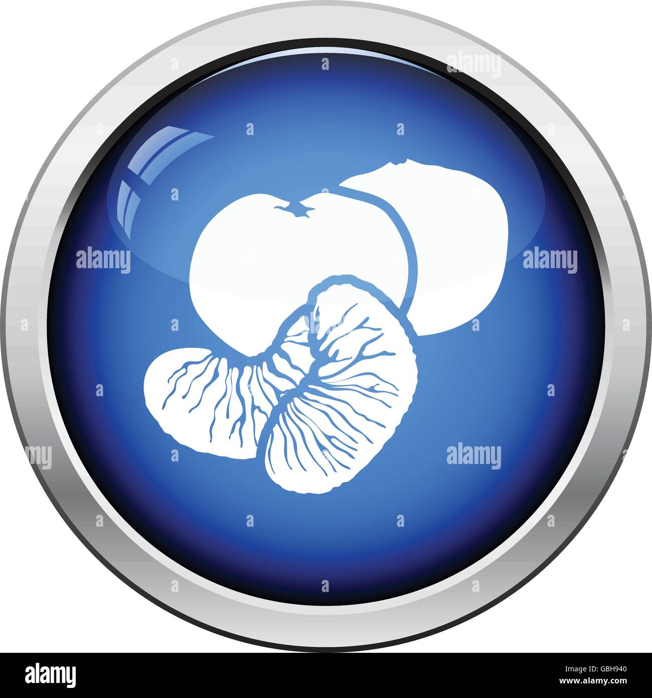 Icon of Mandarin. Glossy button design. Vector illustration Stock ...