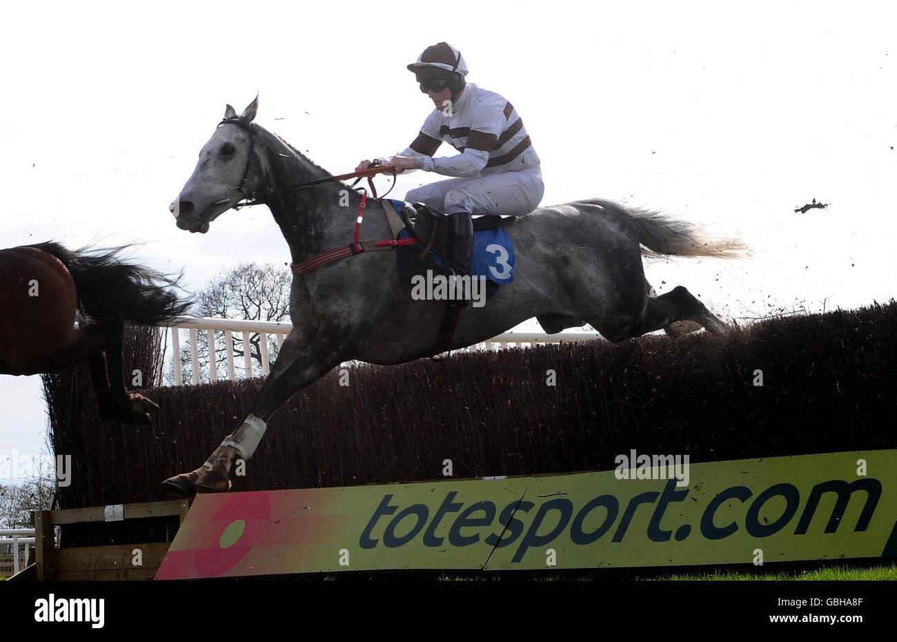 Horse Racing - Wetherby Racecourse Stock Photo - Alamy