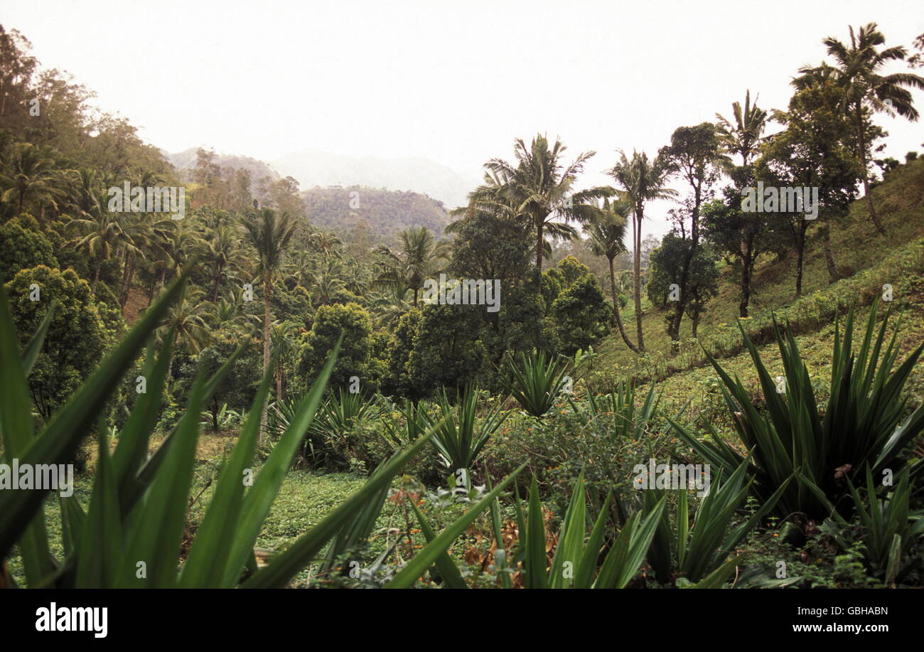 the mountain Landscape on the Island of Anjouan on the Comoros Ilands ...