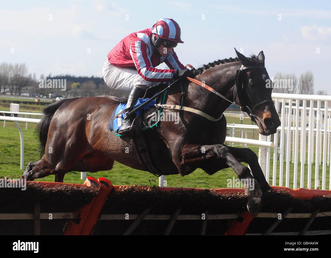 Bramham hall novices hurdle wetherby racecourse hi-res stock ...