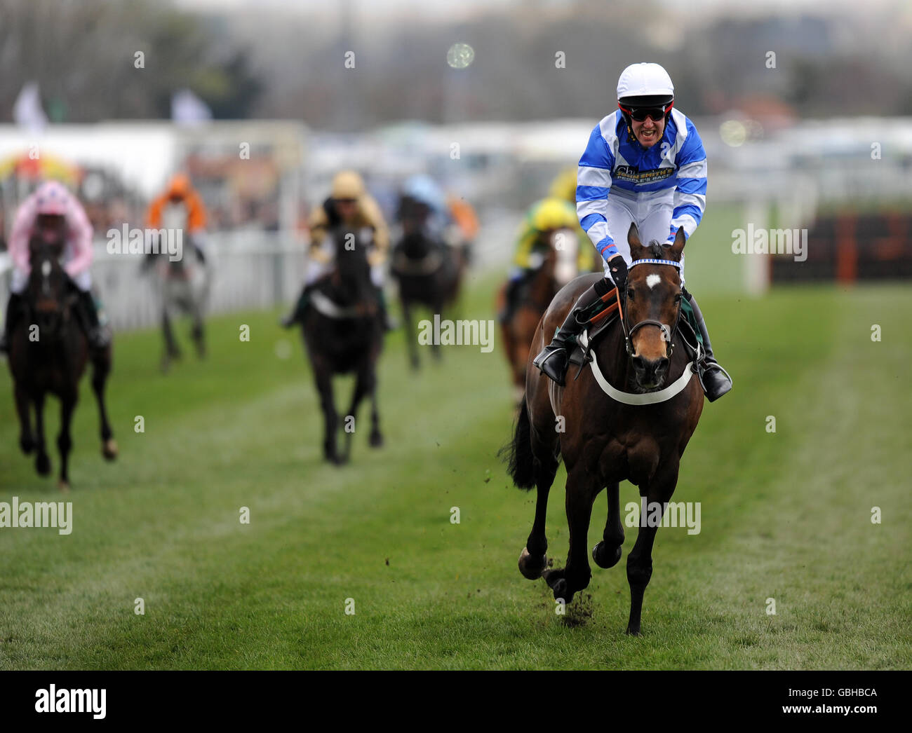Horse racing races hli grandnational2009 hi-res stock photography and ...