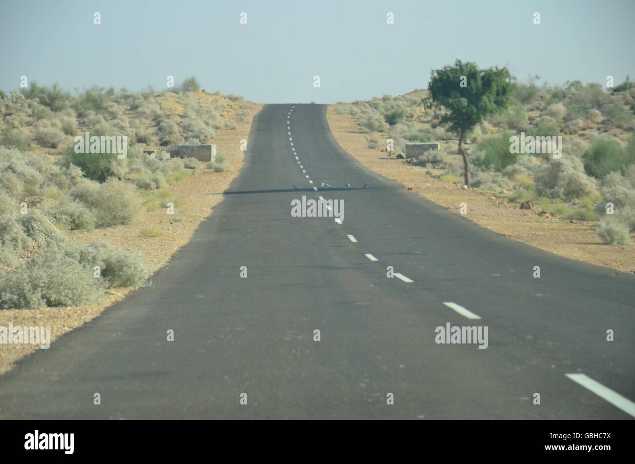 Thar desert india pakistan border hi-res stock photography and images ...