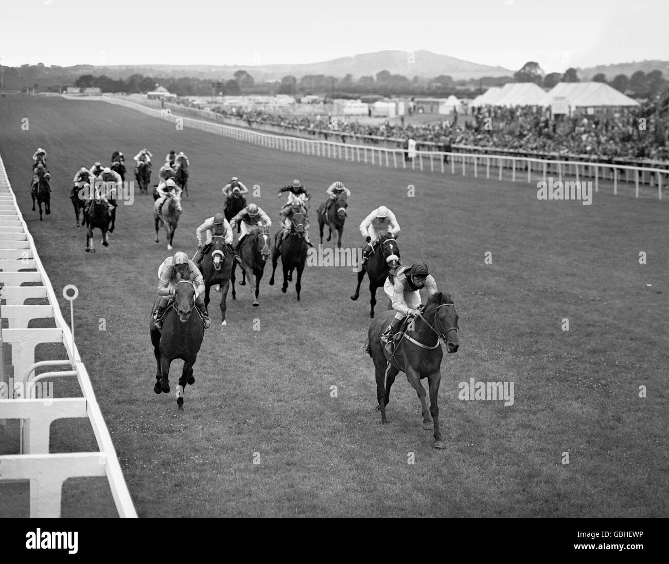 Horse racing curragh racecourse Black and White Stock Photos & Images ...