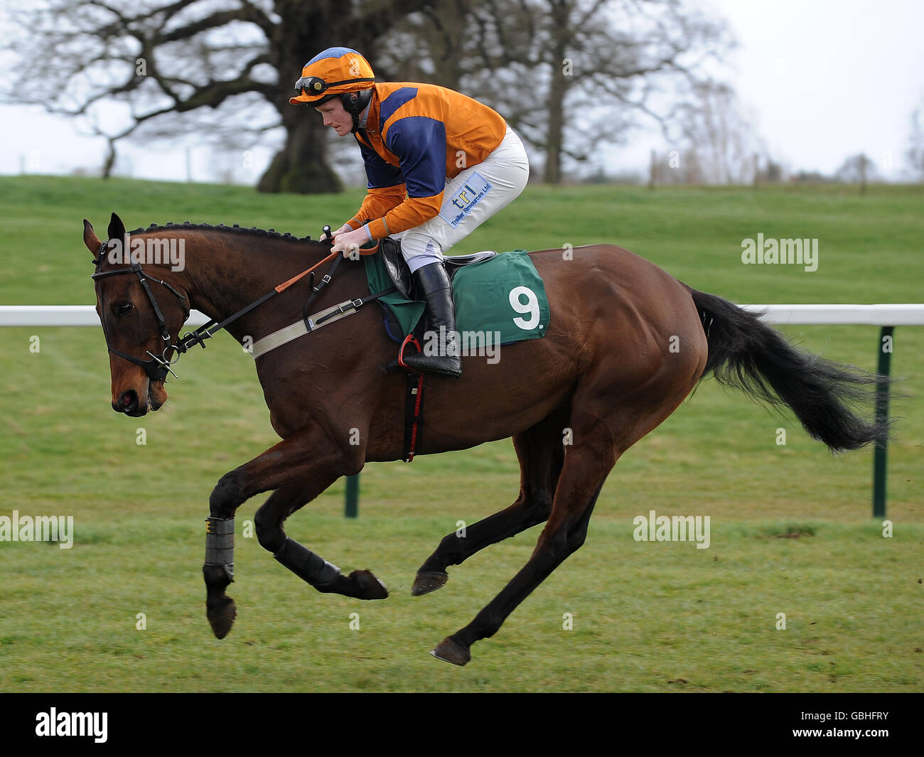 Horse Racing - Towcester Racecourse Stock Photo - Alamy
