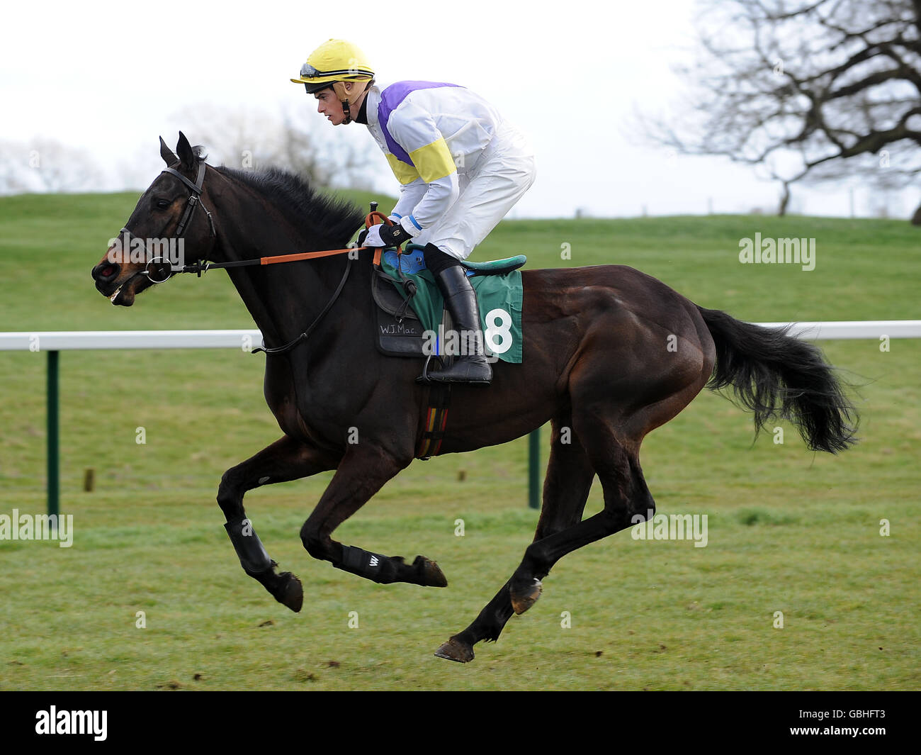 Jockey Anthony Freeman on Faversham goes to post in the Ladbrokes The ...