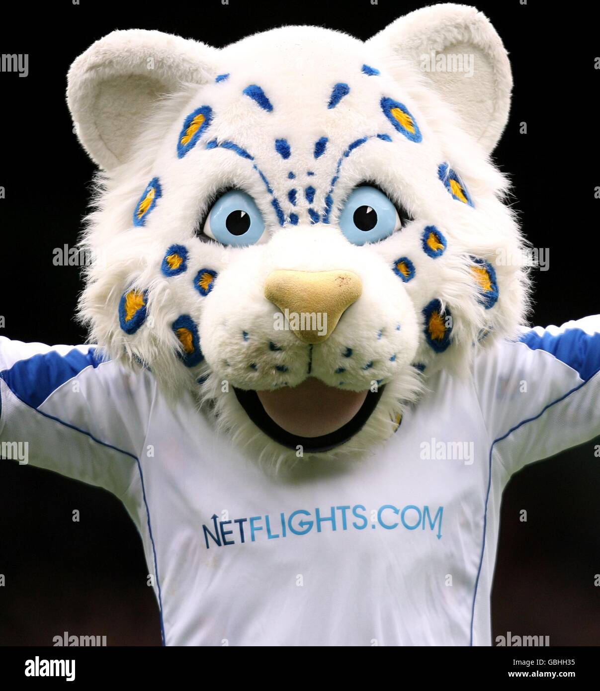 Milton keynes dons mascot hi-res stock photography and images - Alamy