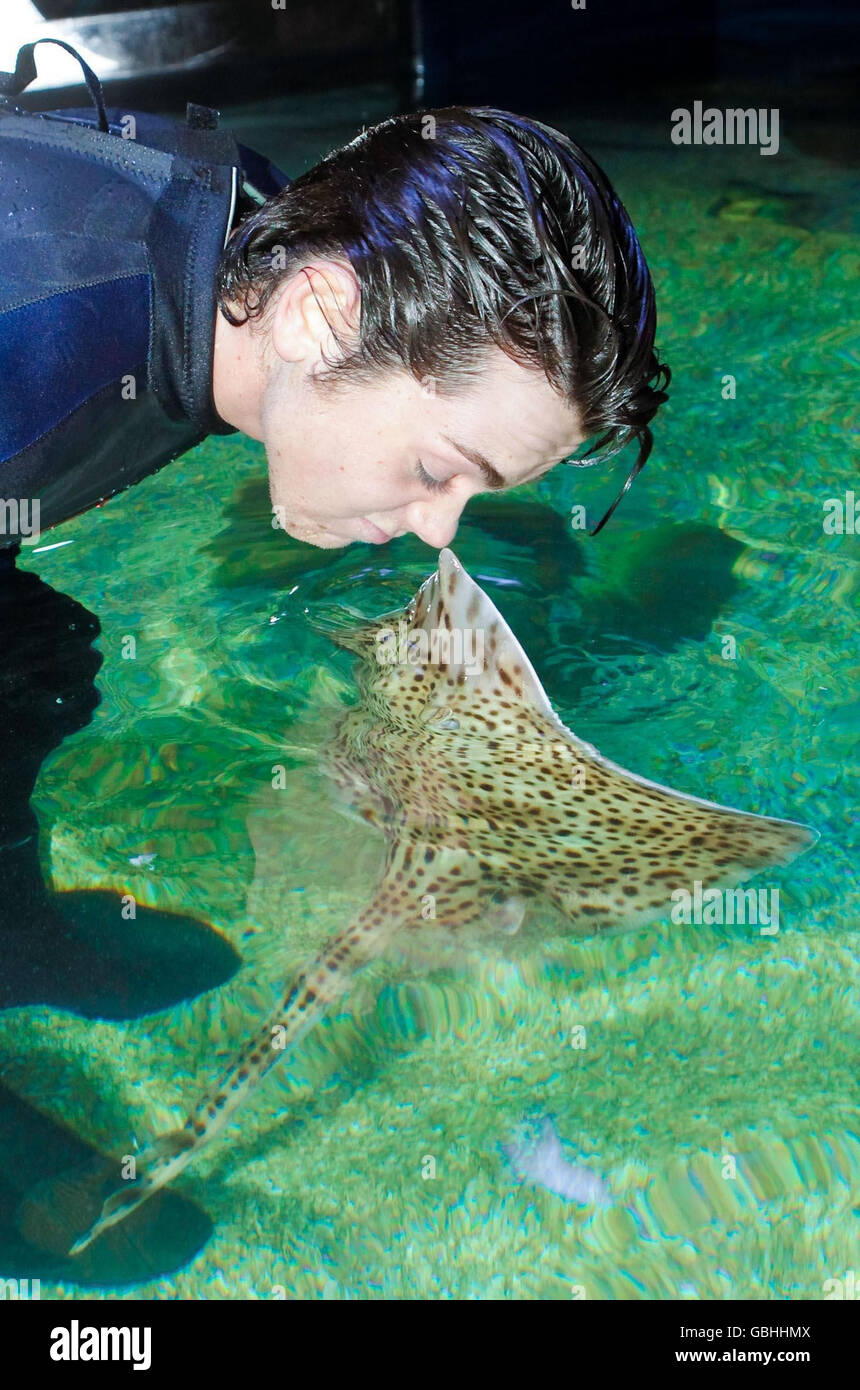 Dancing on Ice sensation, Ray Quinn, in the ray tank as he launches the ...