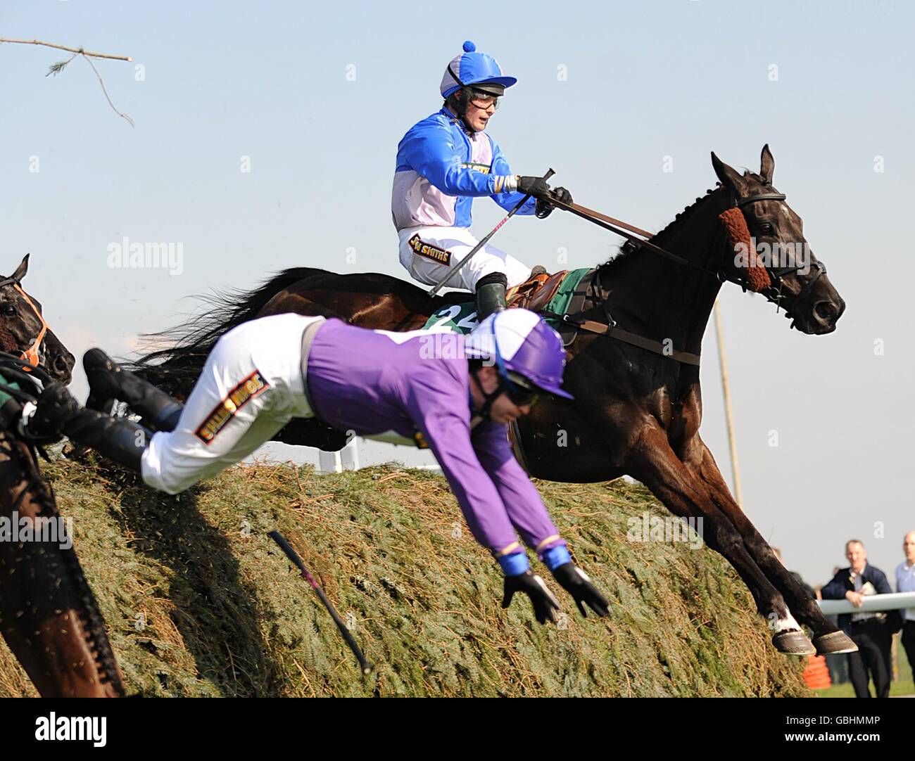 Funny Horse Racing Pictures