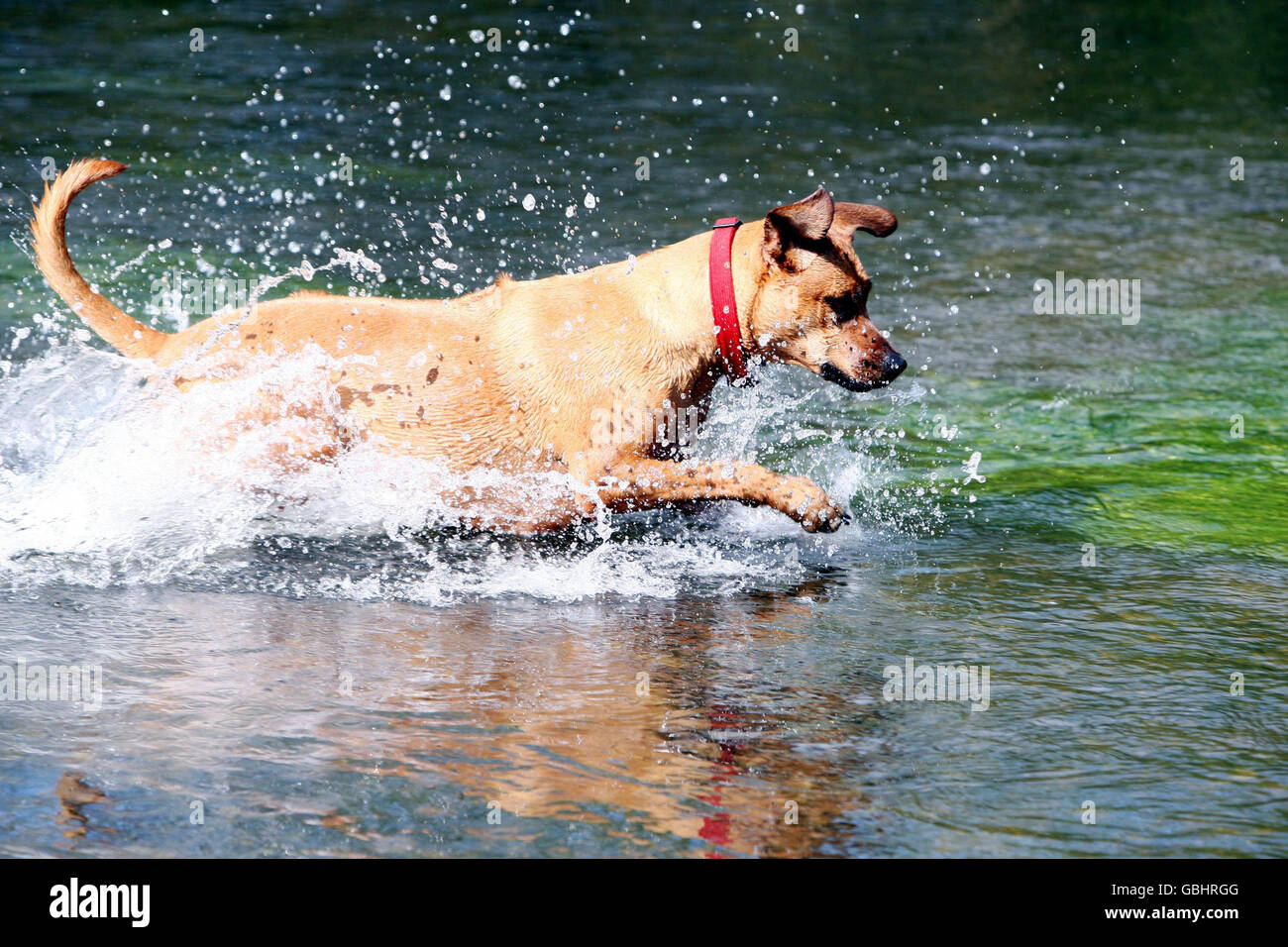 Temperate weather hi-res stock photography and images - Alamy