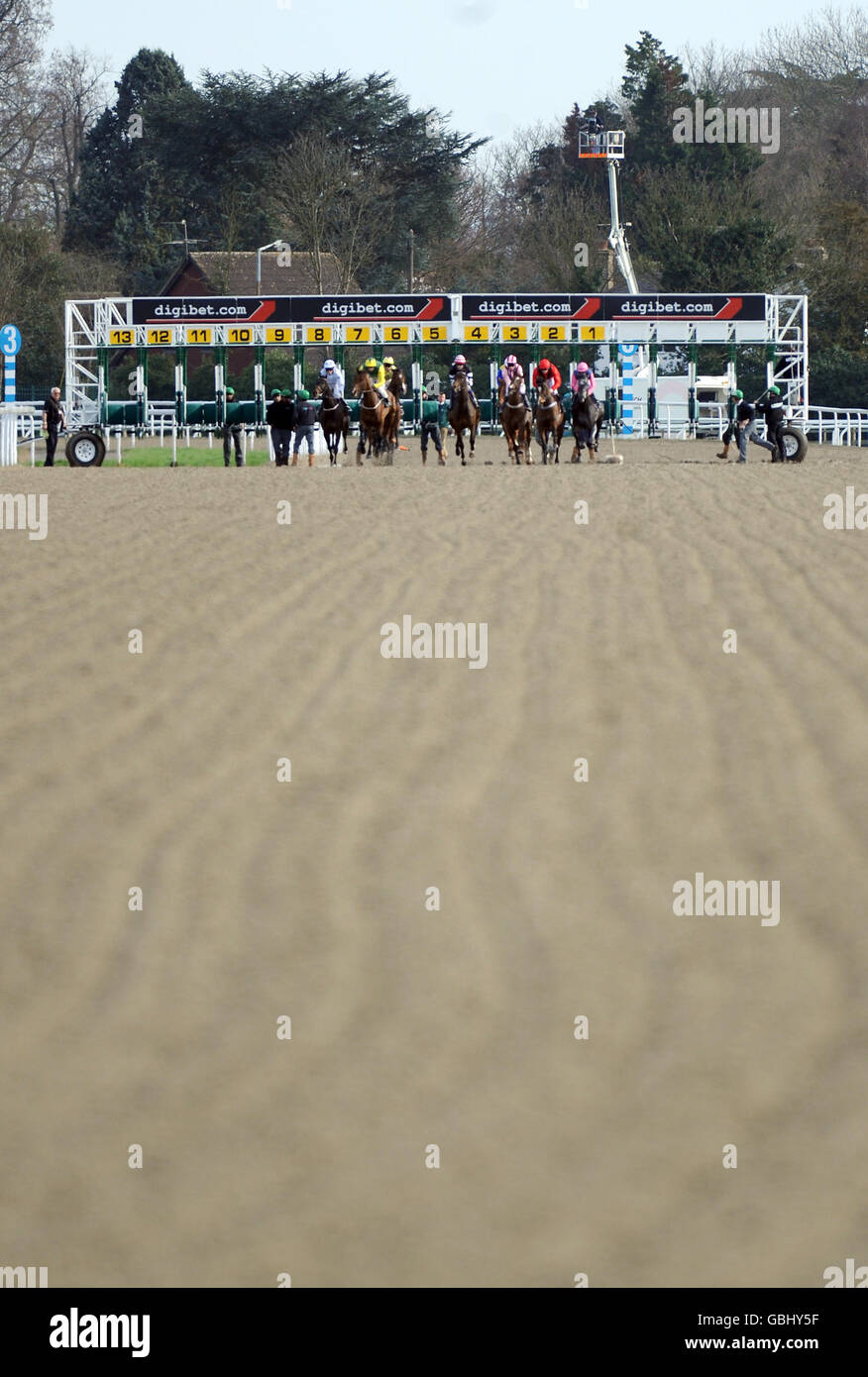 Horse Racing - Kempton Park Racecourse Stock Photo - Alamy