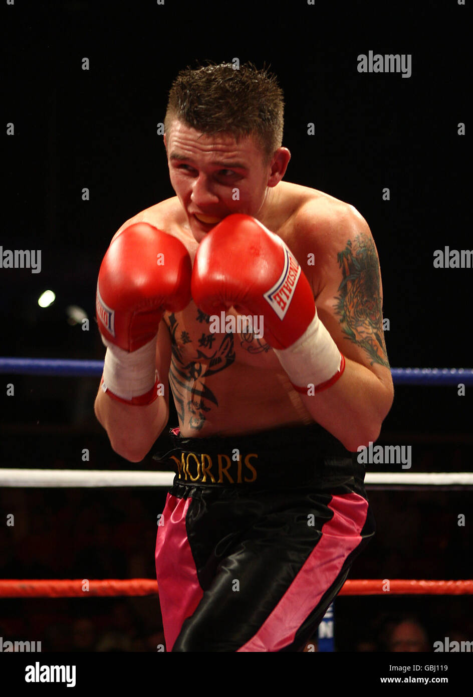 Boxing - Commonwealth Light-Heavyweight Championship - Nathan Cleverly ...