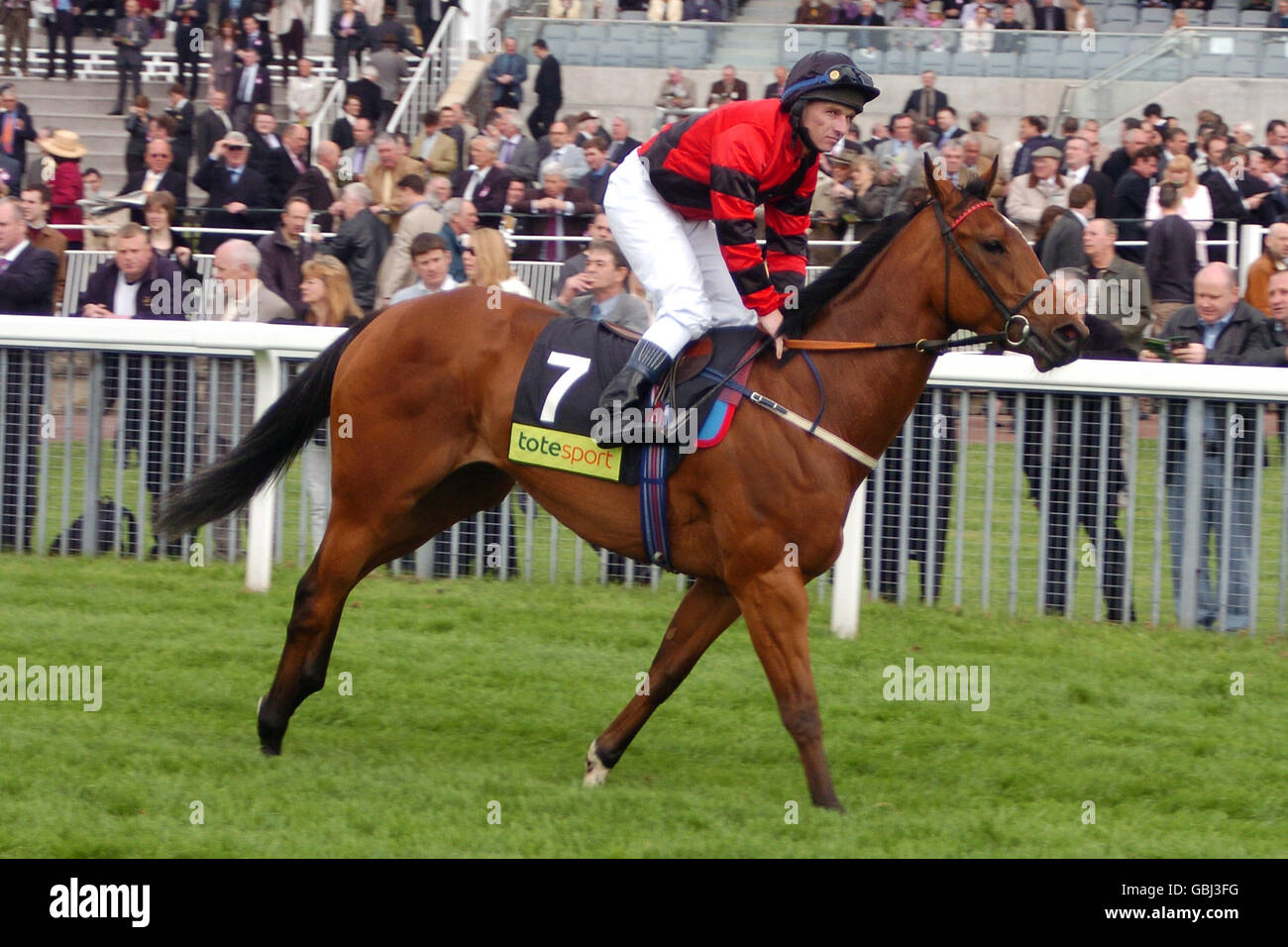 Horse Racing - York Races Stock Photo - Alamy