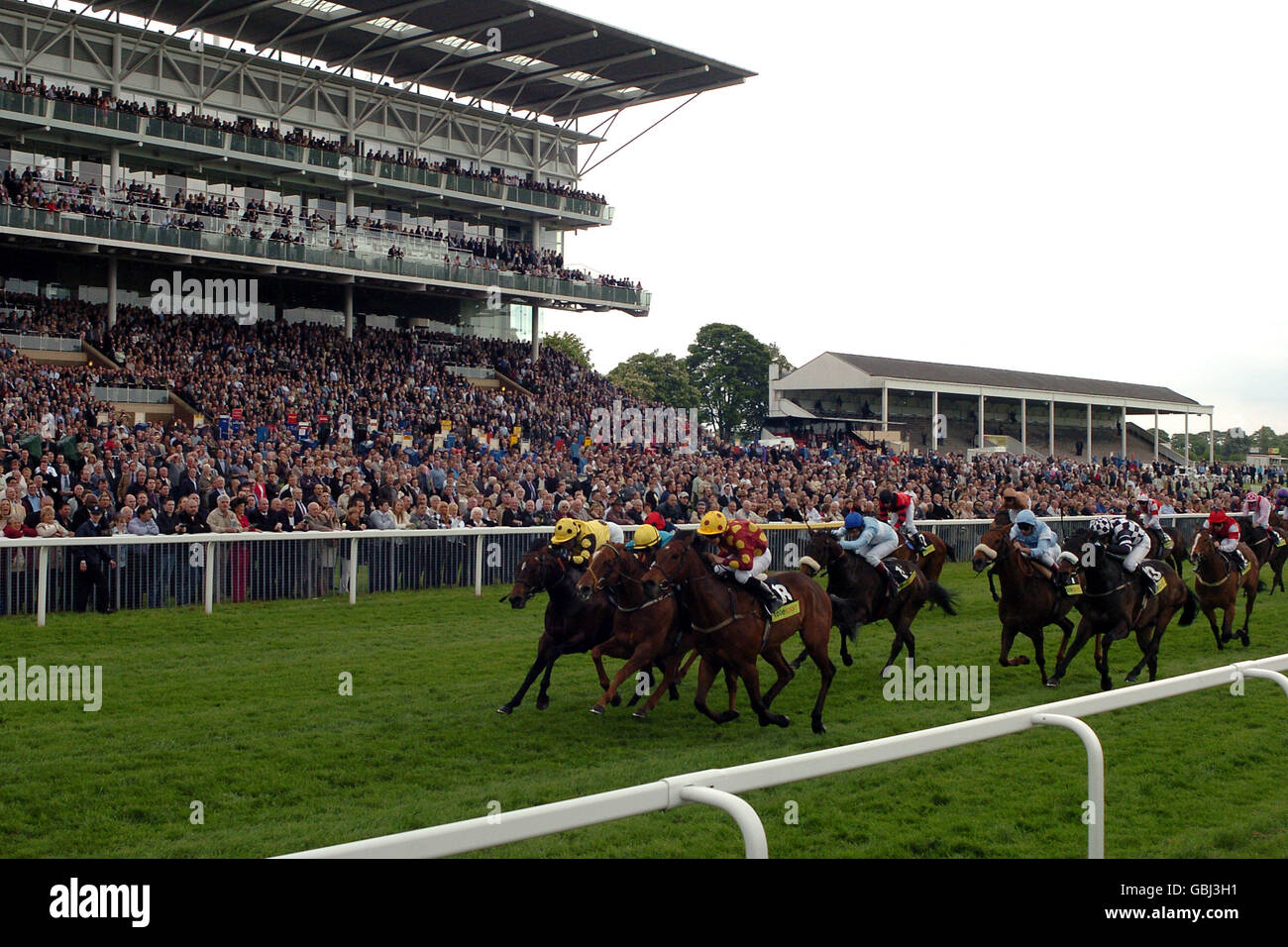 Horse Racing - York Races Stock Photo - Alamy