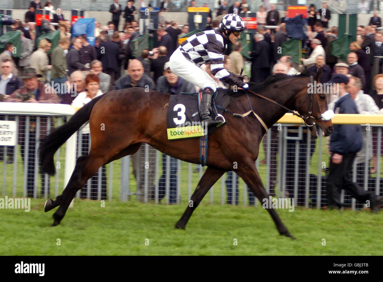 Horse Racing - York Races Stock Photo - Alamy