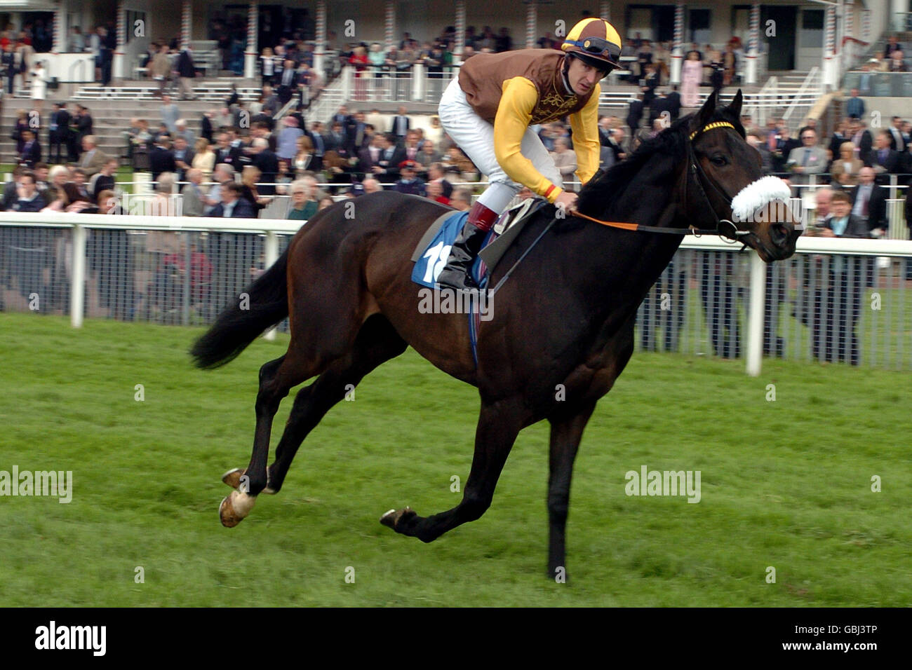 Horse Racing - York Races Stock Photo - Alamy