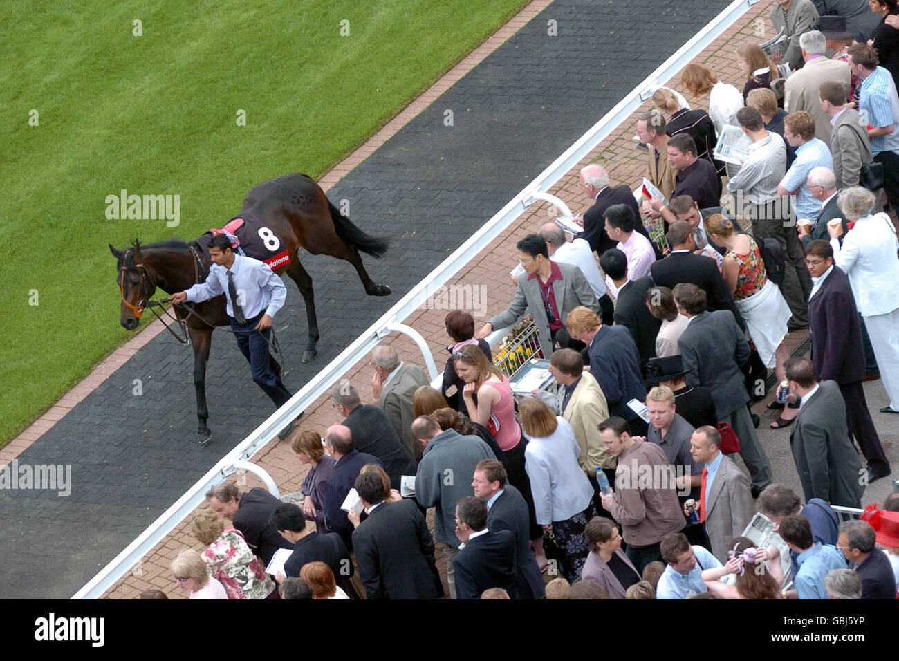Horse Racing - Epsom Races - Vodafone Derby. Racegoers see the horses ...