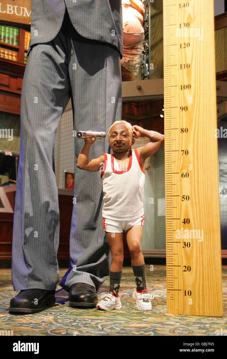 The worlds smallest bodybuilder next to model of wadlow hi-res stock ...