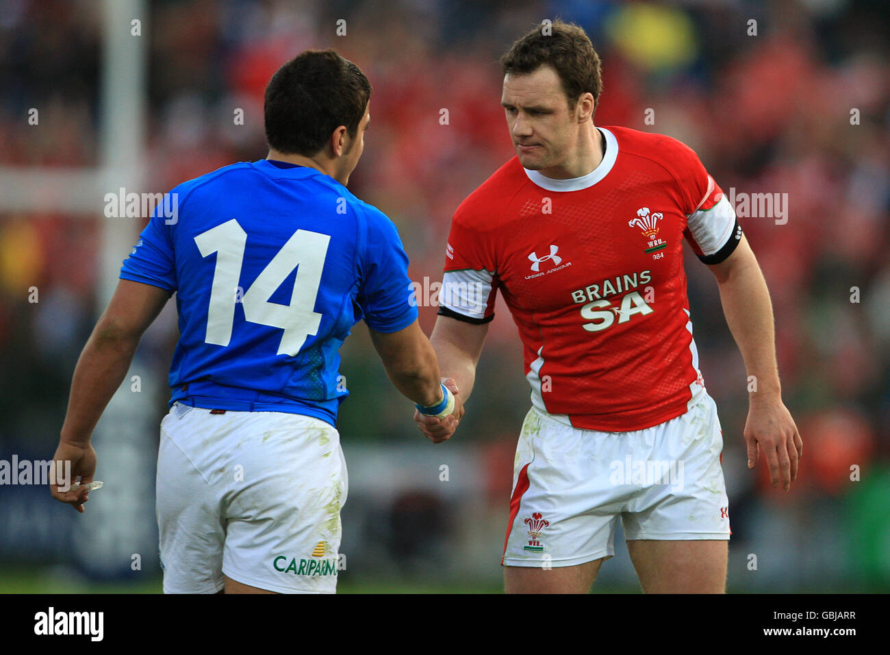 Rugby Union - RBS 6 Nations Championship 2009 - Italy v Wales - Stadio ...