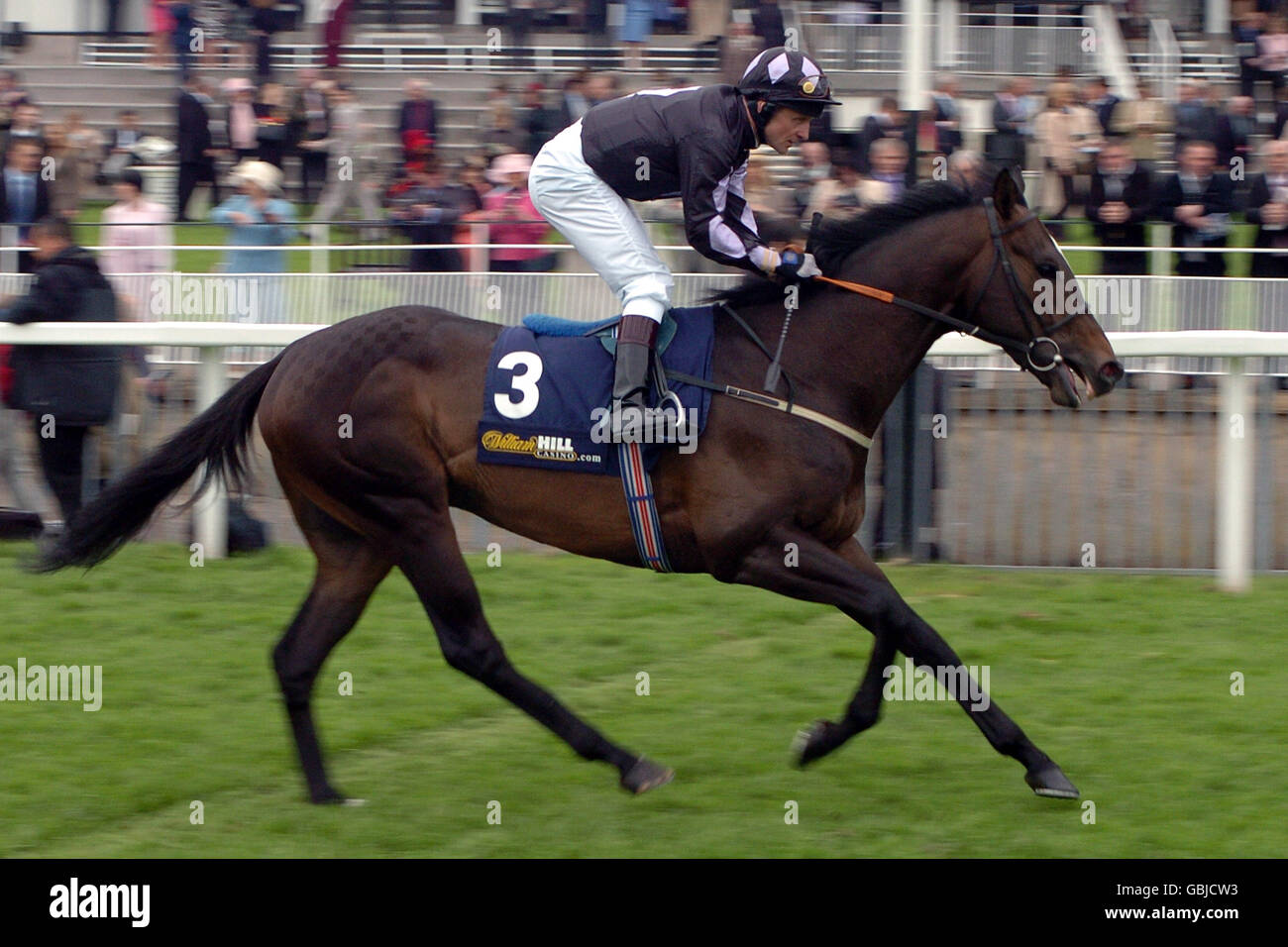 Horse Racing - York Races Stock Photo - Alamy