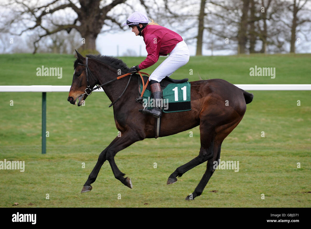 Horse Racing - Towcester Racecourse Stock Photo - Alamy