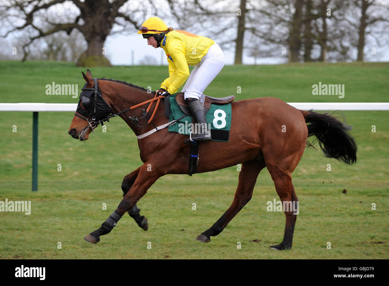 Mickey Pearce ridden by Miss Sally Randell prior to the Birthday ...