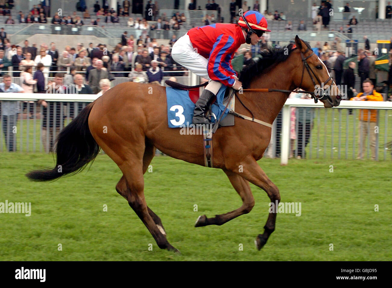 Horse chart hi-res stock photography and images - Alamy