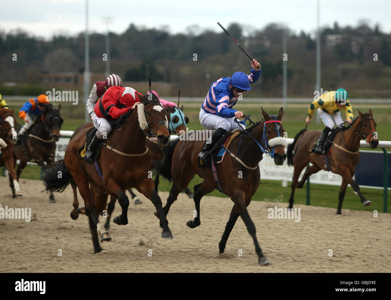 Horse Racing - Wolverhampton Racecourse Stock Photo - Alamy