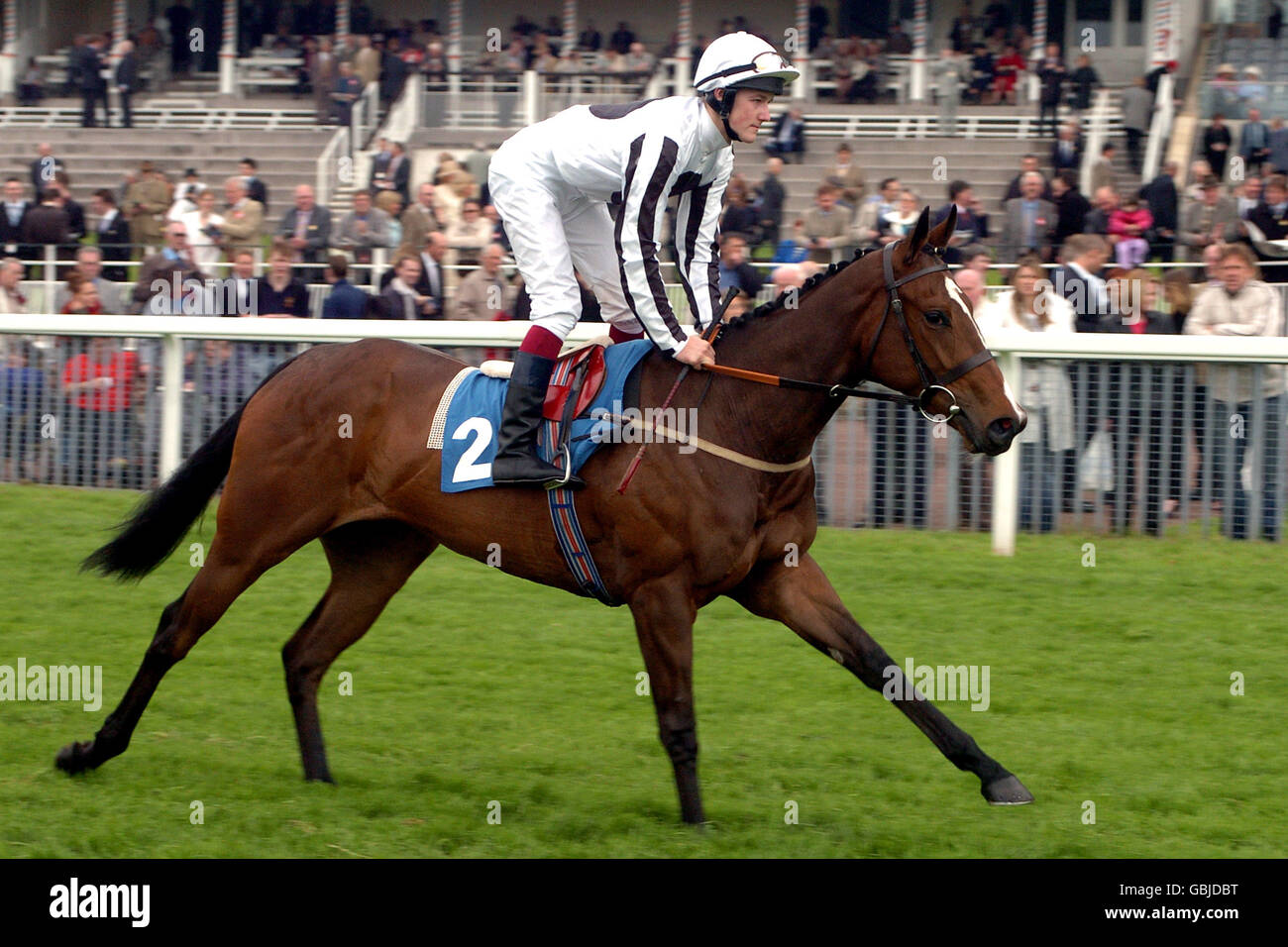 Horse Racing - York Races Stock Photo - Alamy