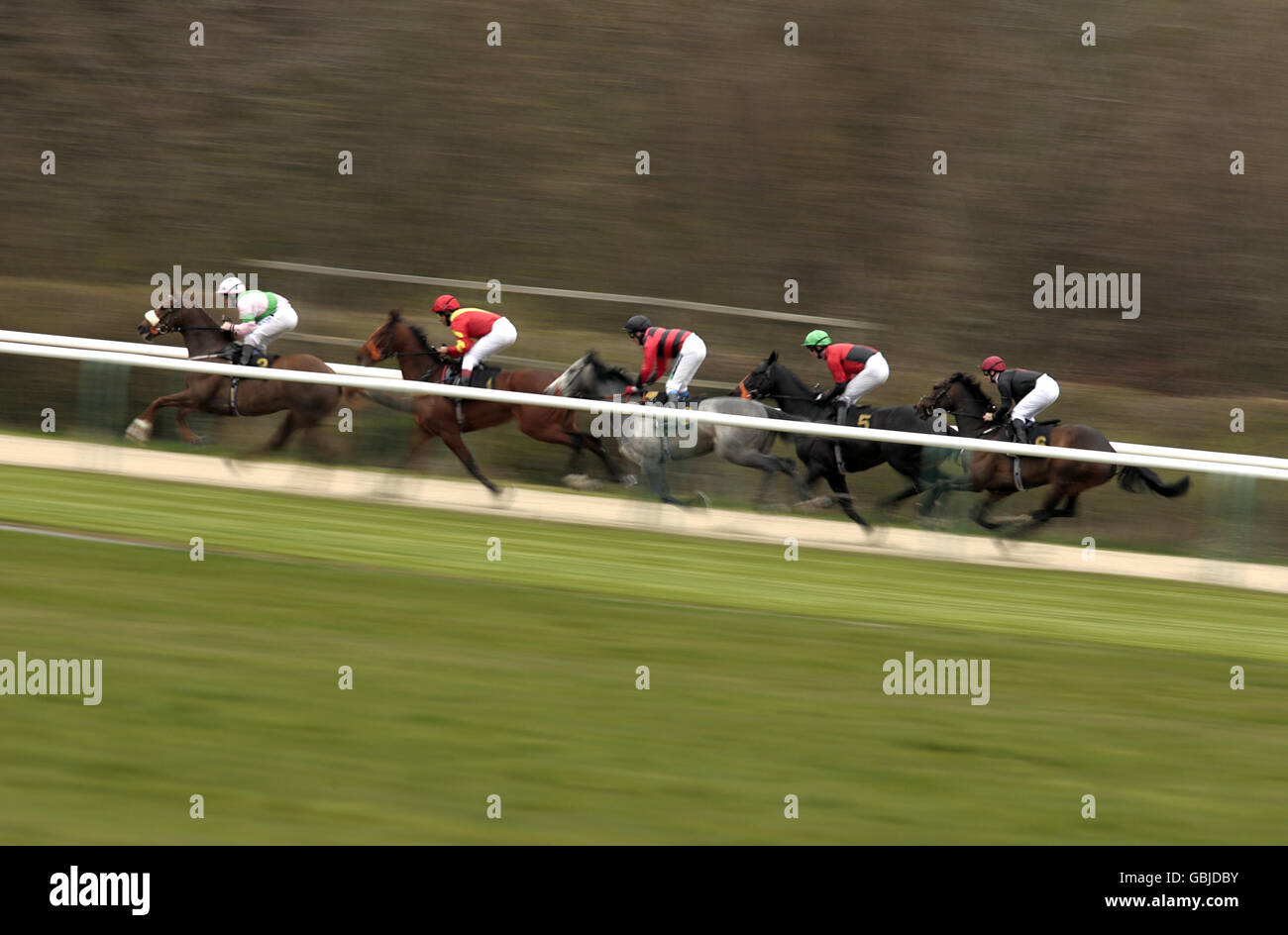 Horse Racing - Wolverhampton Racecourse. Horses and riders during the ...