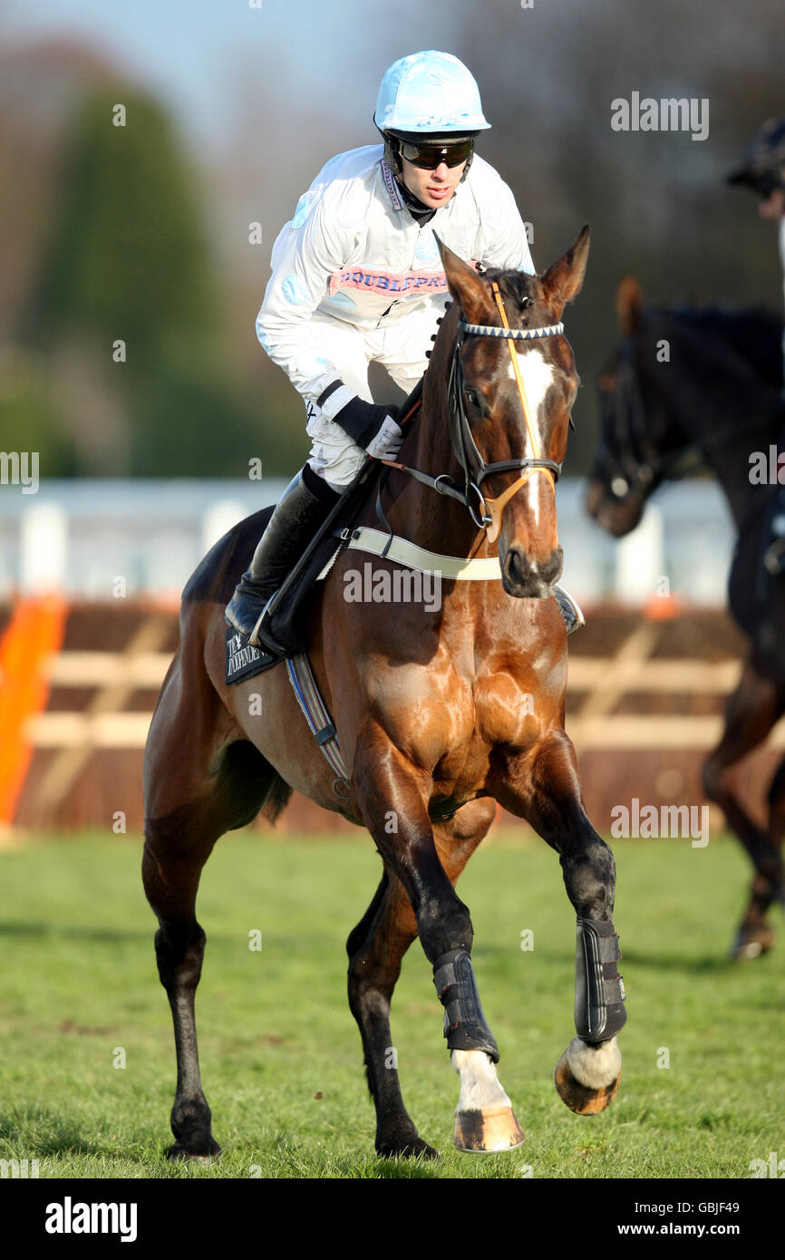Horse Racing - Ascot Racecourse. Jockey Timmy Murphy on Oscar Park goes ...