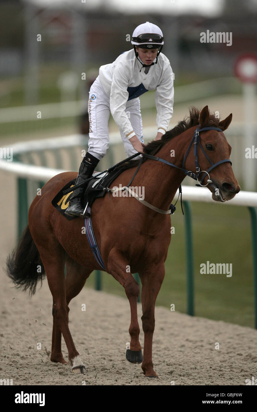 Racecourse full length prior race before hi-res stock photography and ...