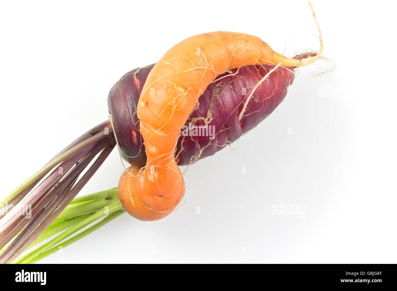 Two orange and red twisted organic carrots Stock Photo - Alamy