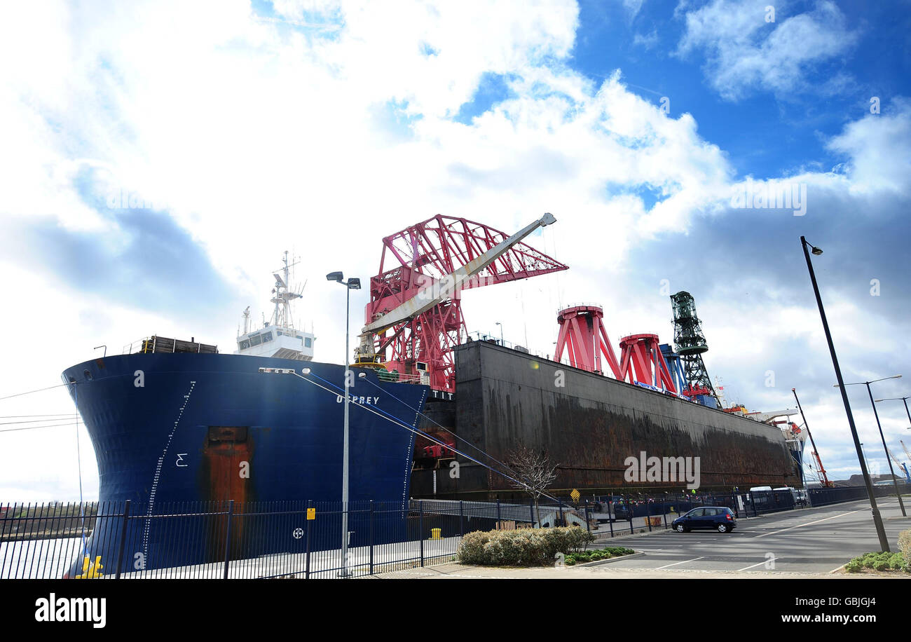 India swan hi-res stock photography and images - Alamy