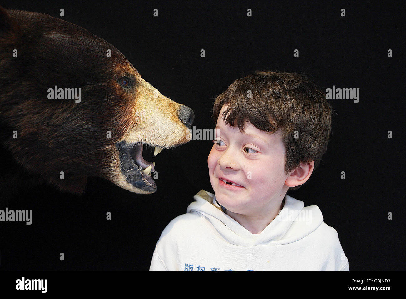 Animals displayed hi-res stock photography and images - Alamy