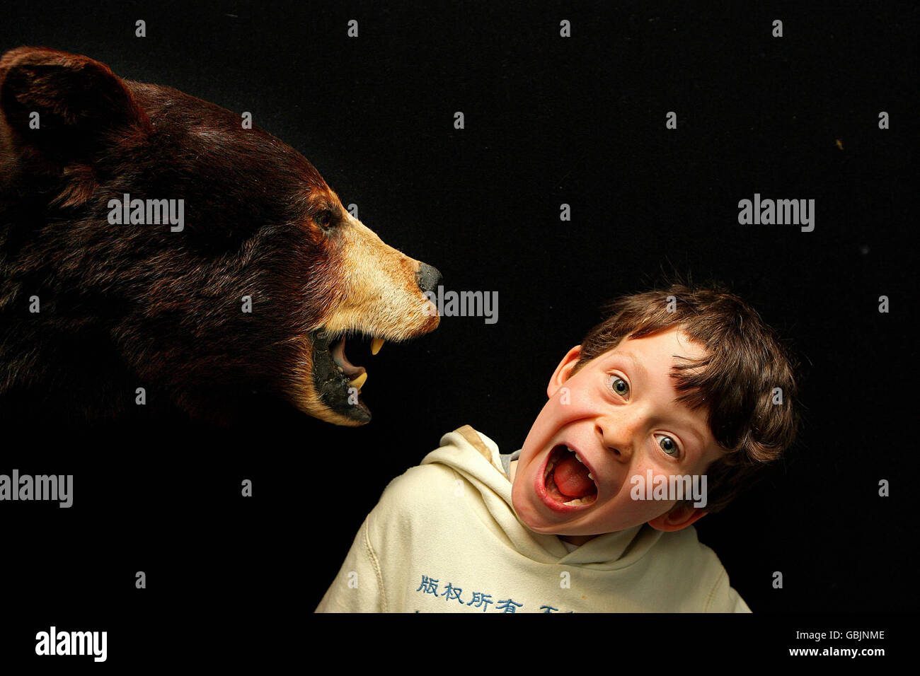 Customs display seized animals Stock Photo - Alamy
