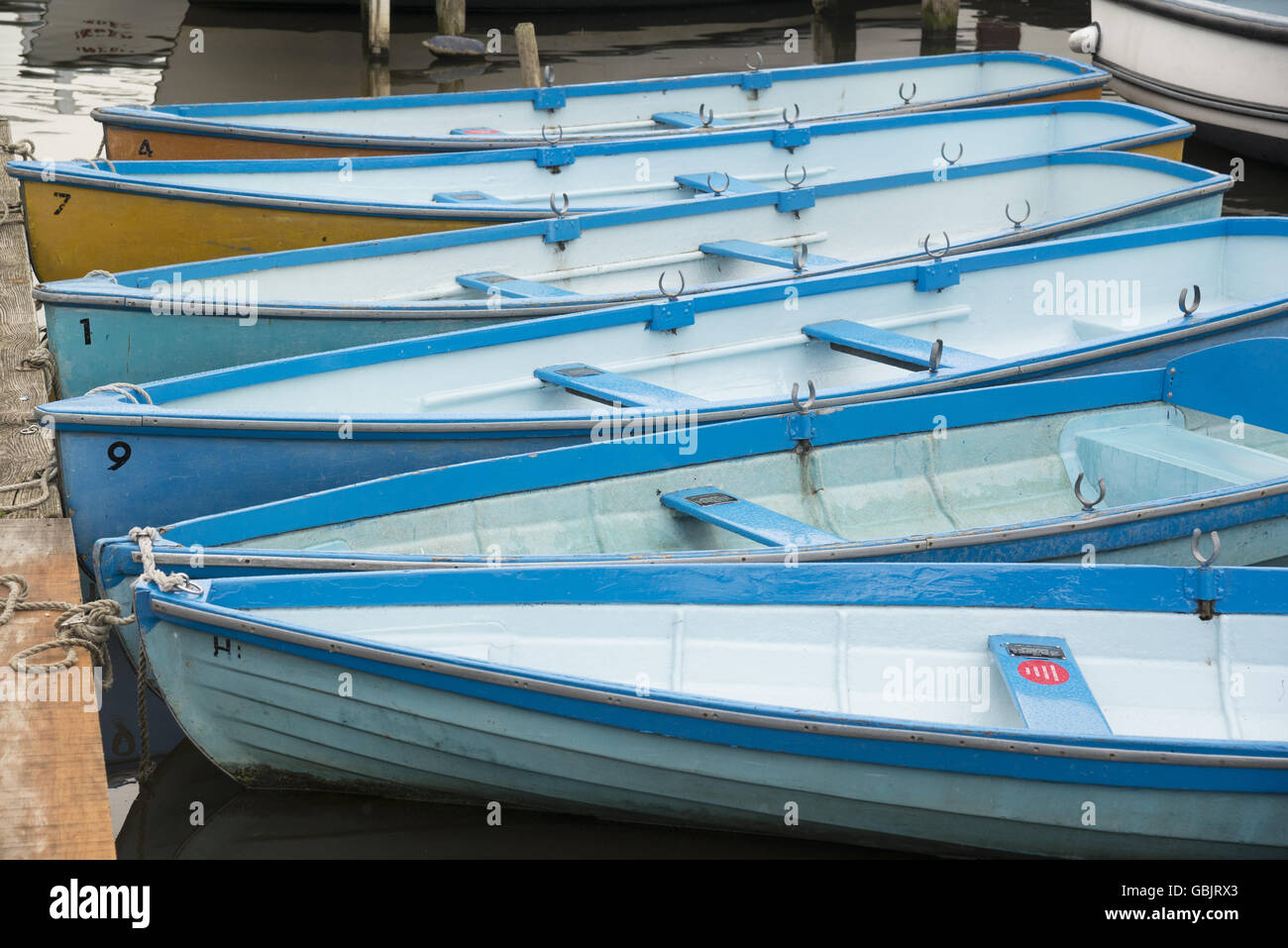 Row line hi-res stock photography and images - Alamy