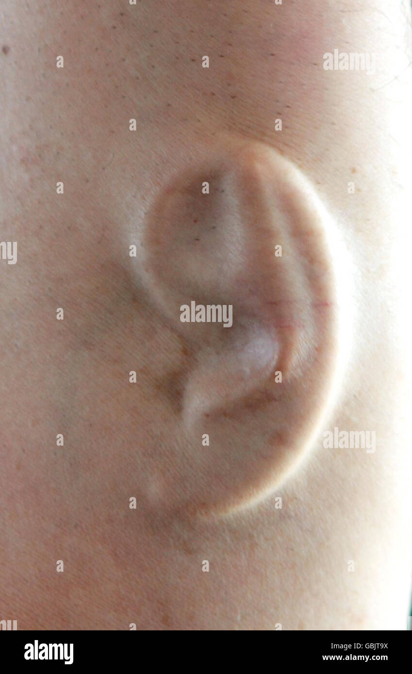 Australian science festival hi-res stock photography and images - Alamy