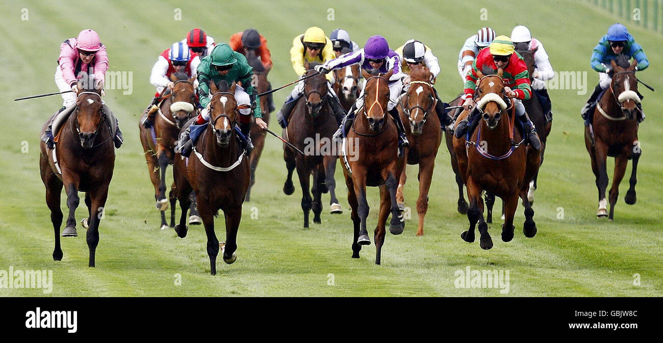 Horse Racing - Newmarket Racecourse Stock Photo - Alamy