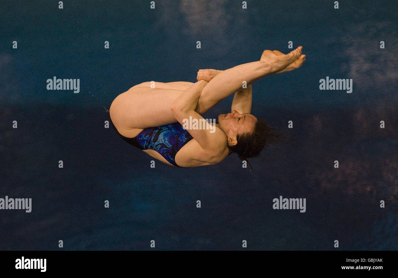 Diving - Fina Diving World Series 2009 - Day Two - Ponds Forge. Great ...