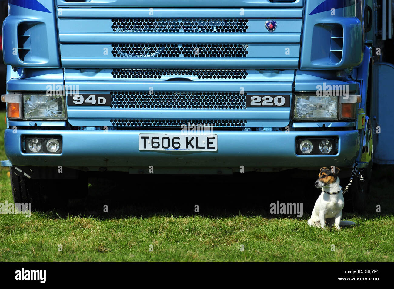 A dog is tied to a horse lorry during the Powderham Castle Horse Trials ...