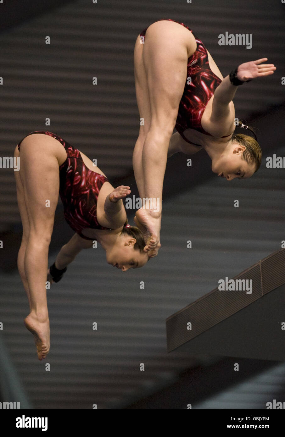 Diving - Fina Diving World Series 2009 - Day Two - Ponds Forge Stock ...
