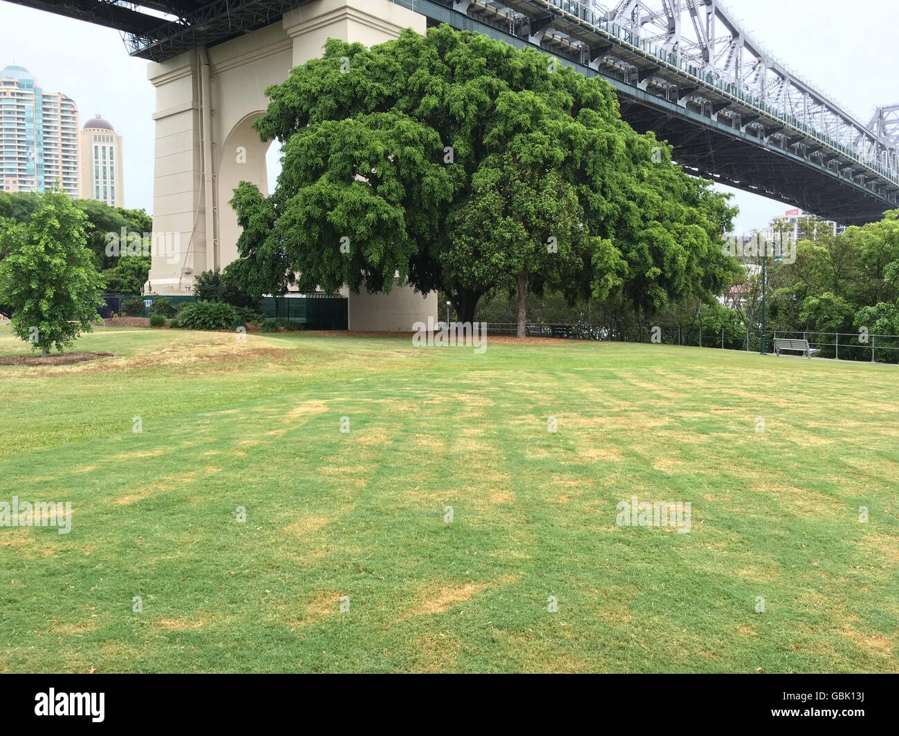 Park under the Bridge Stock Photo - Alamy