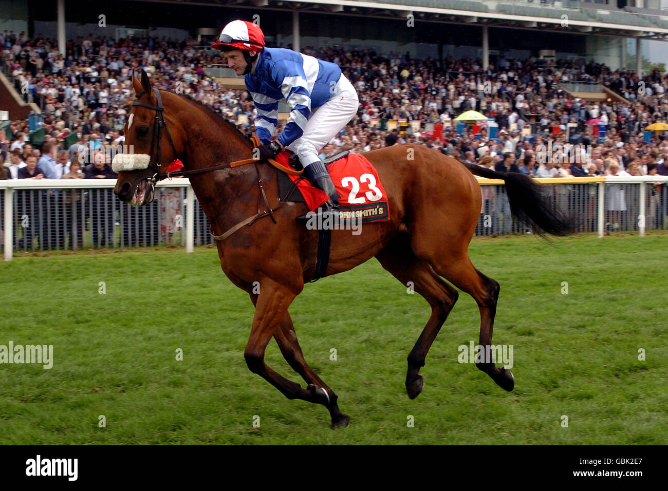 Horse Racing - York Races Stock Photo - Alamy