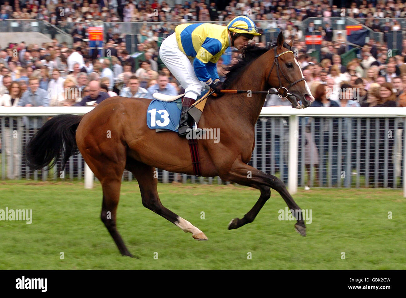 Horse Racing - York Races Stock Photo - Alamy