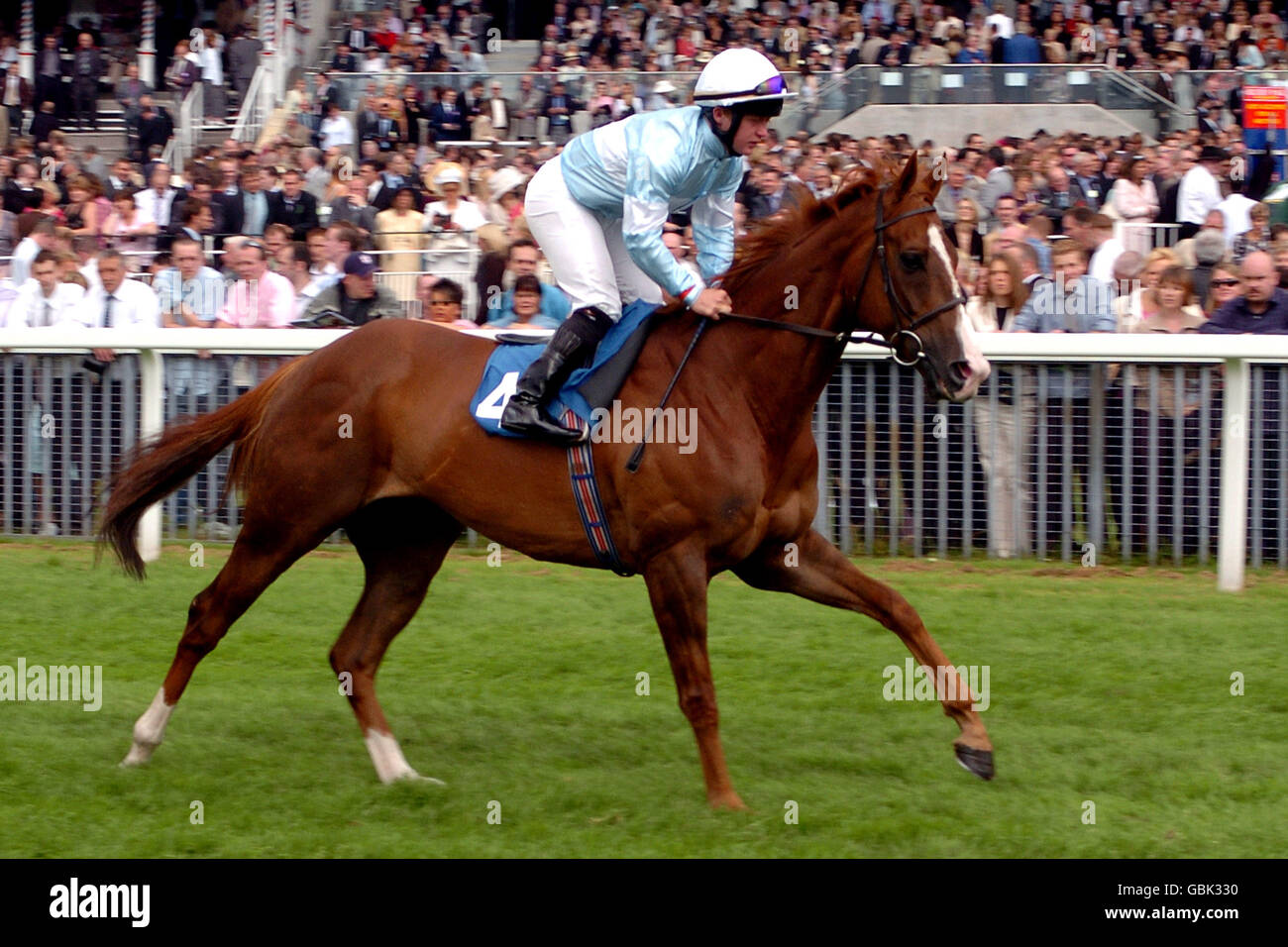 Horse Racing - York Races Stock Photo - Alamy