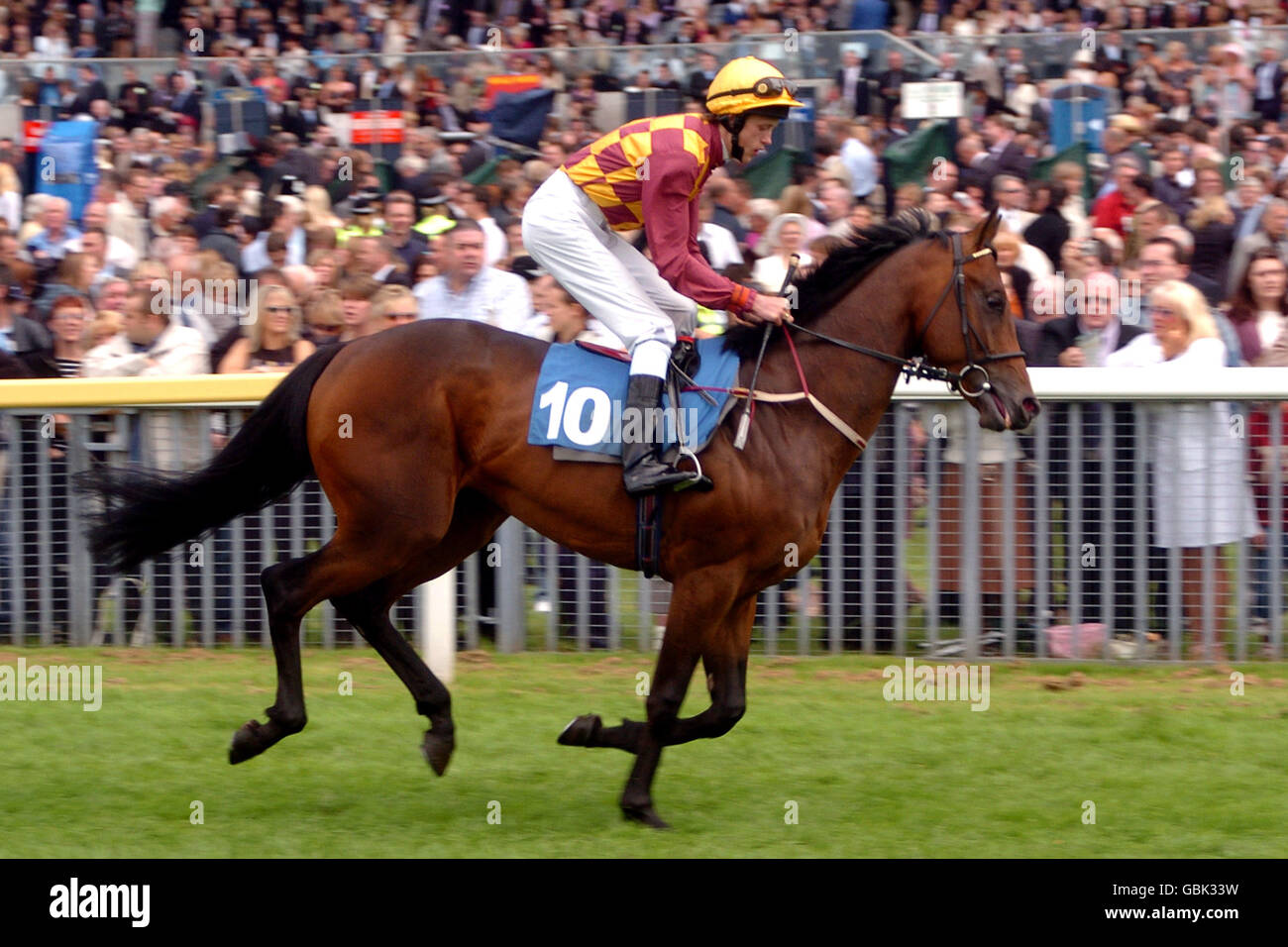 Horse Racing - York Races Stock Photo - Alamy