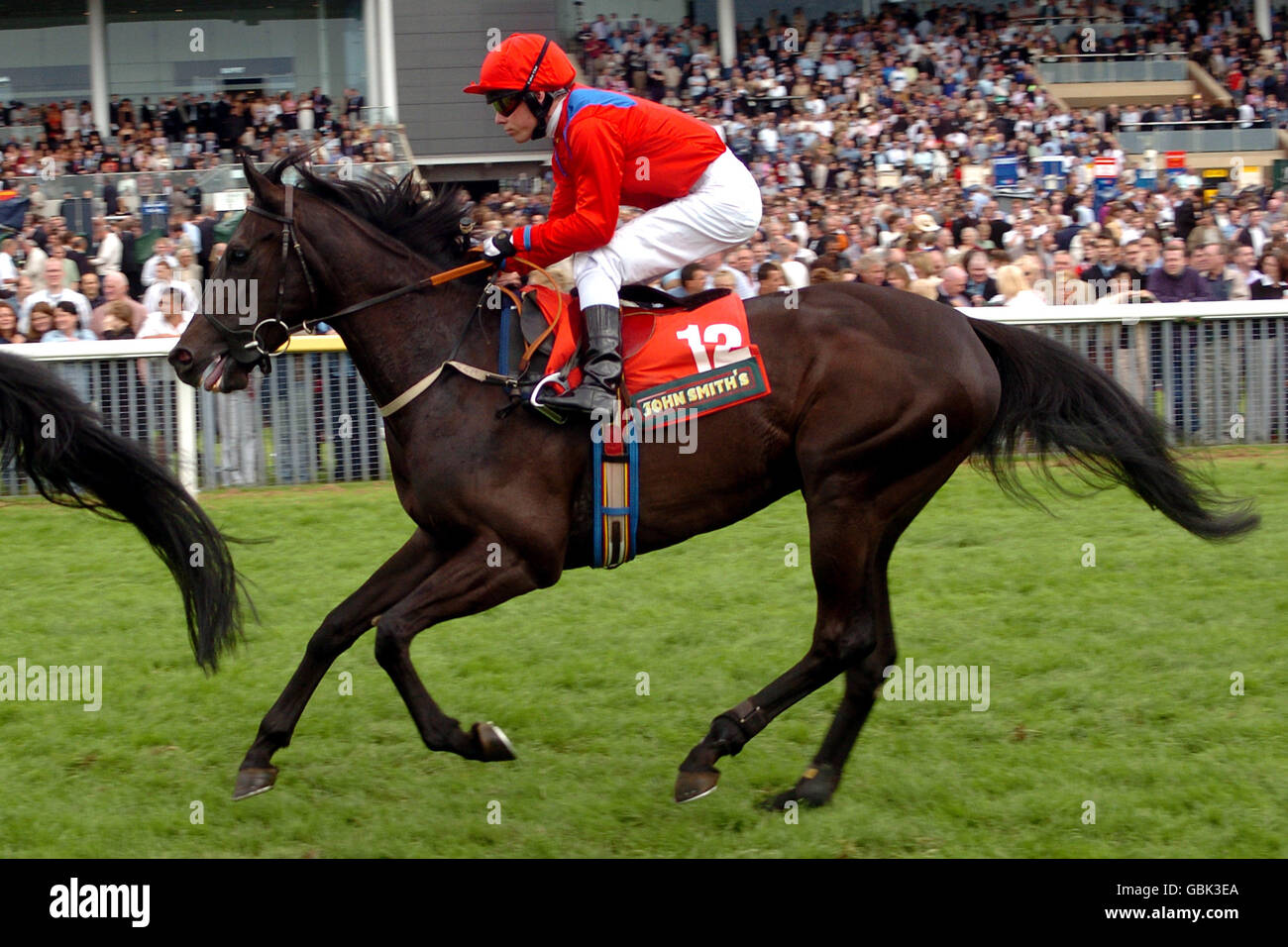 Horse Racing - York Races Stock Photo - Alamy