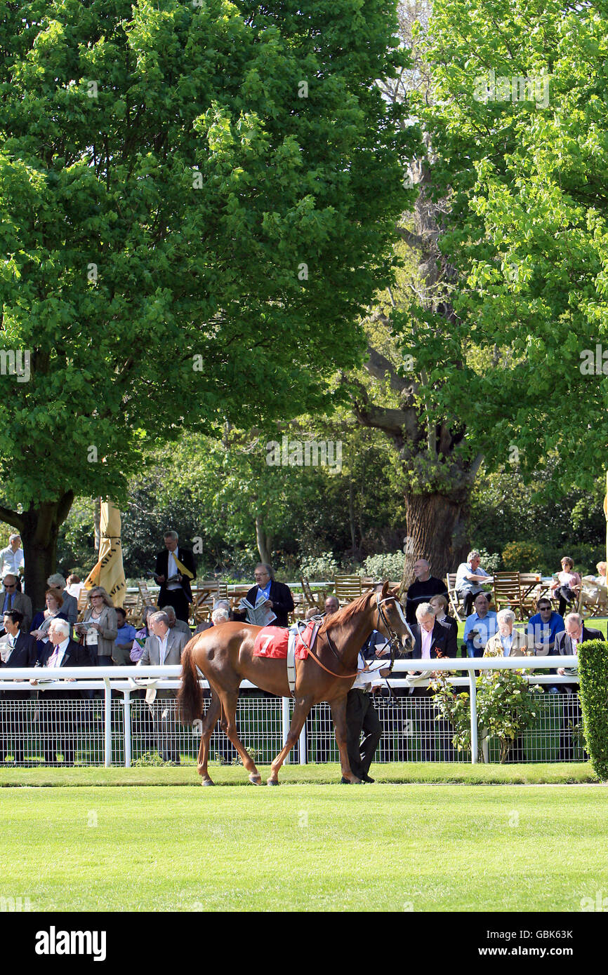 Pre parade ring hi-res stock photography and images - Alamy