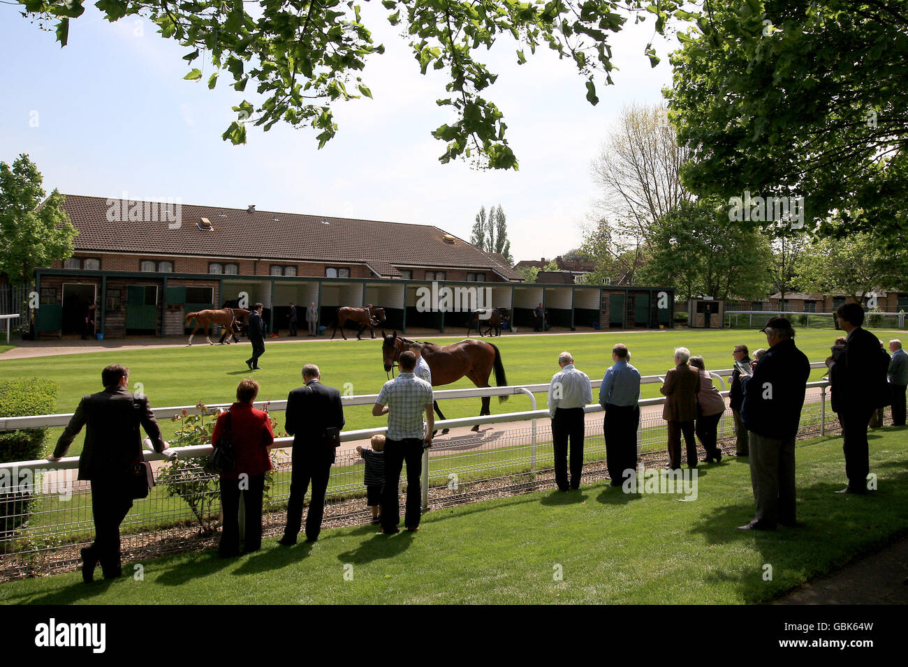 Horses are paraded round the pre parade ring before the race Stock ...